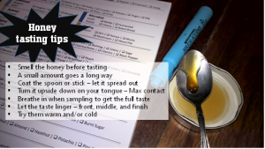 Honey Tasting – The Beekeeper's Corner