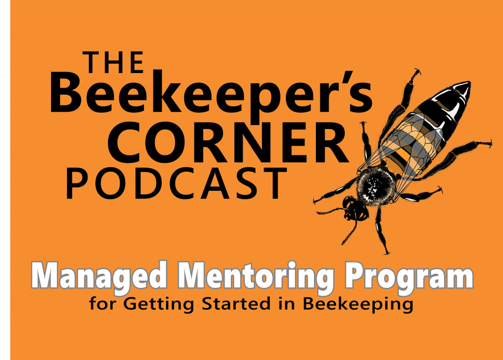 Managed Mentoring – The Beekeeper's Corner