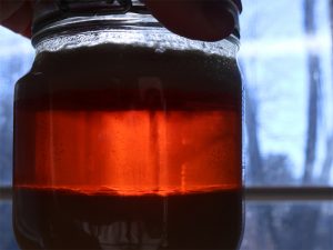Propolis Extract Recipe/Process – The Beekeeper's Corner
